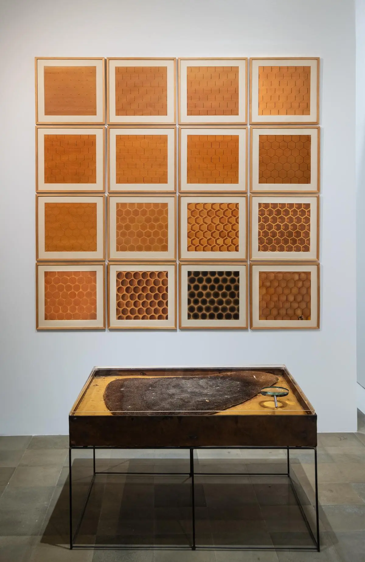 Review of the exhibition “Mycelial Legacies II” at Chhatrapati Shivaji ...