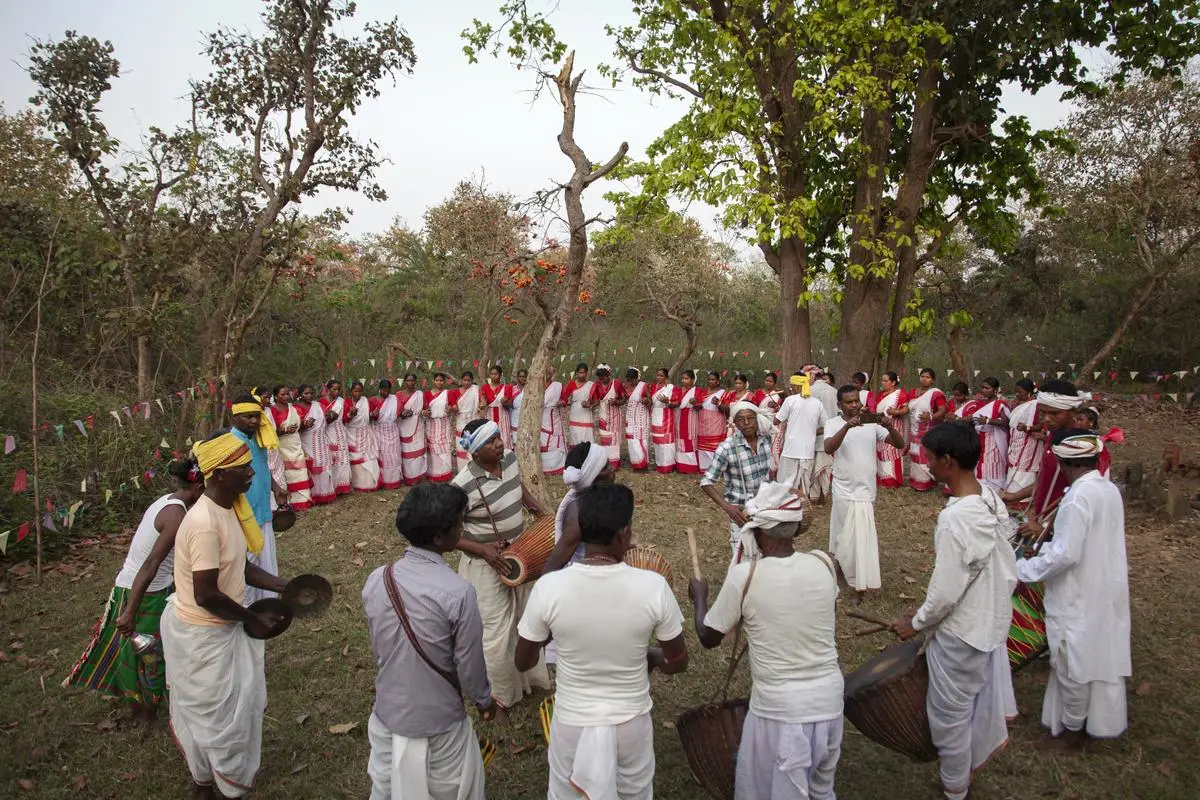 Baha Parab: The Santals’ Festival of Flowers and Renewal - Frontline
