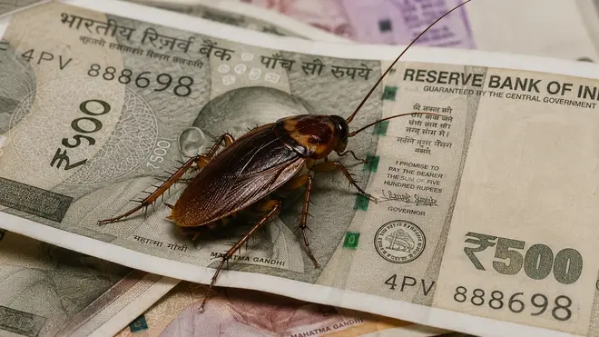Why the Rupee Is Collapsing Under Modi’s Economic Model - Frontline