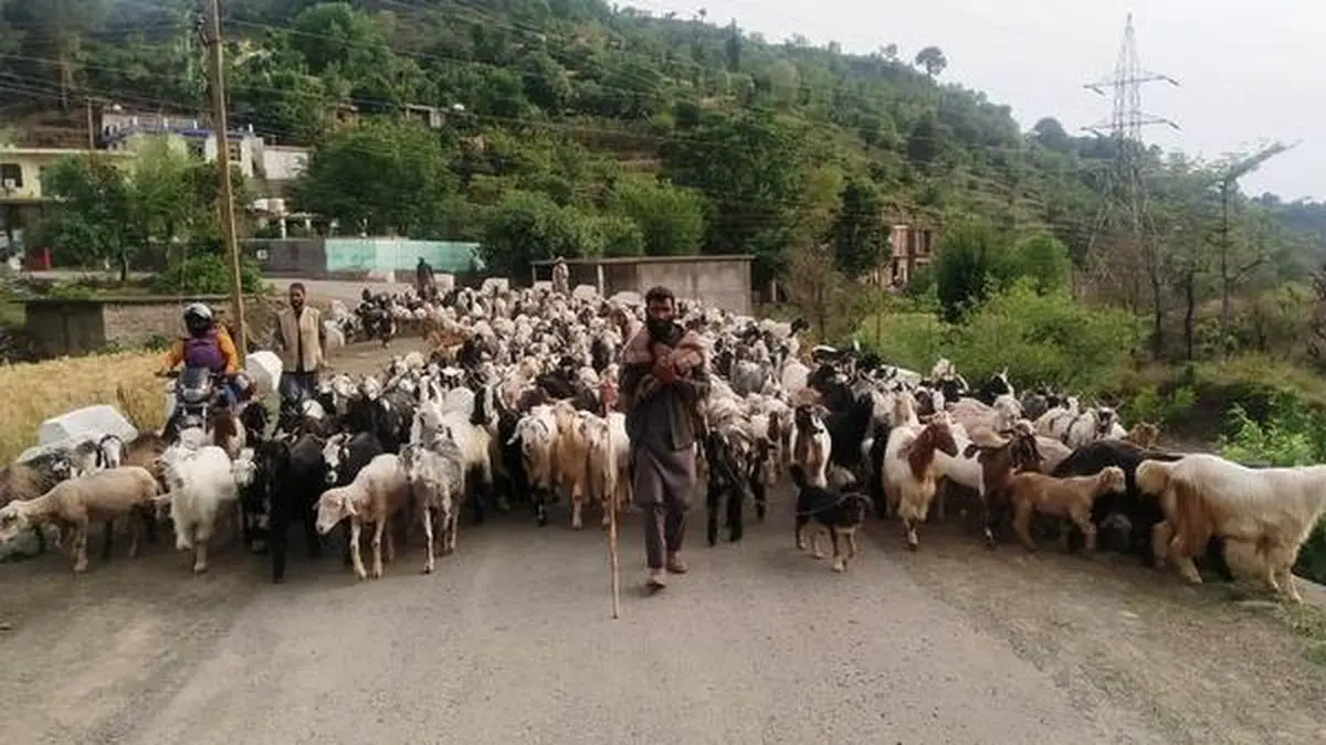 The caravan waits - Frontline