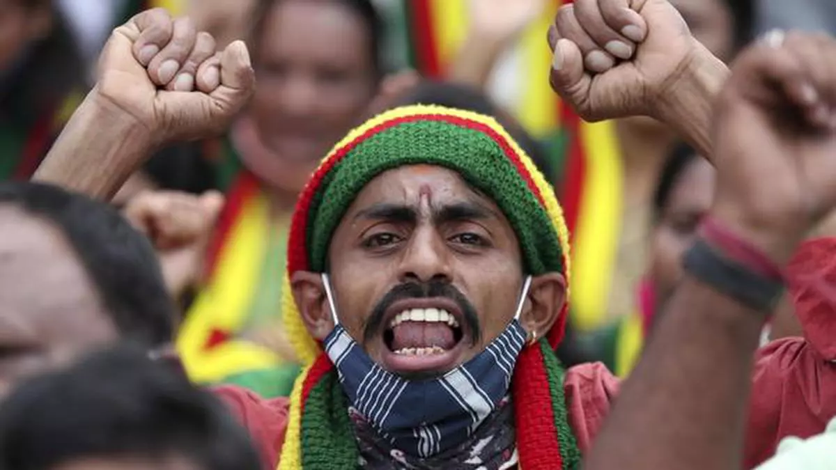 The new farm laws endanger the livelihoods of small-scale farmers ...