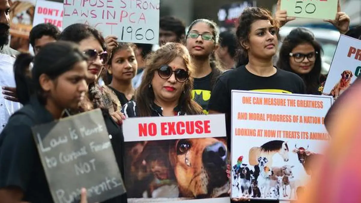 Central government notifies draft of new law for more humane practices ...