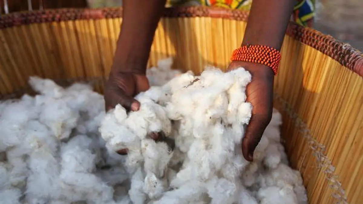 Child labour on the rise in Africa - Frontline