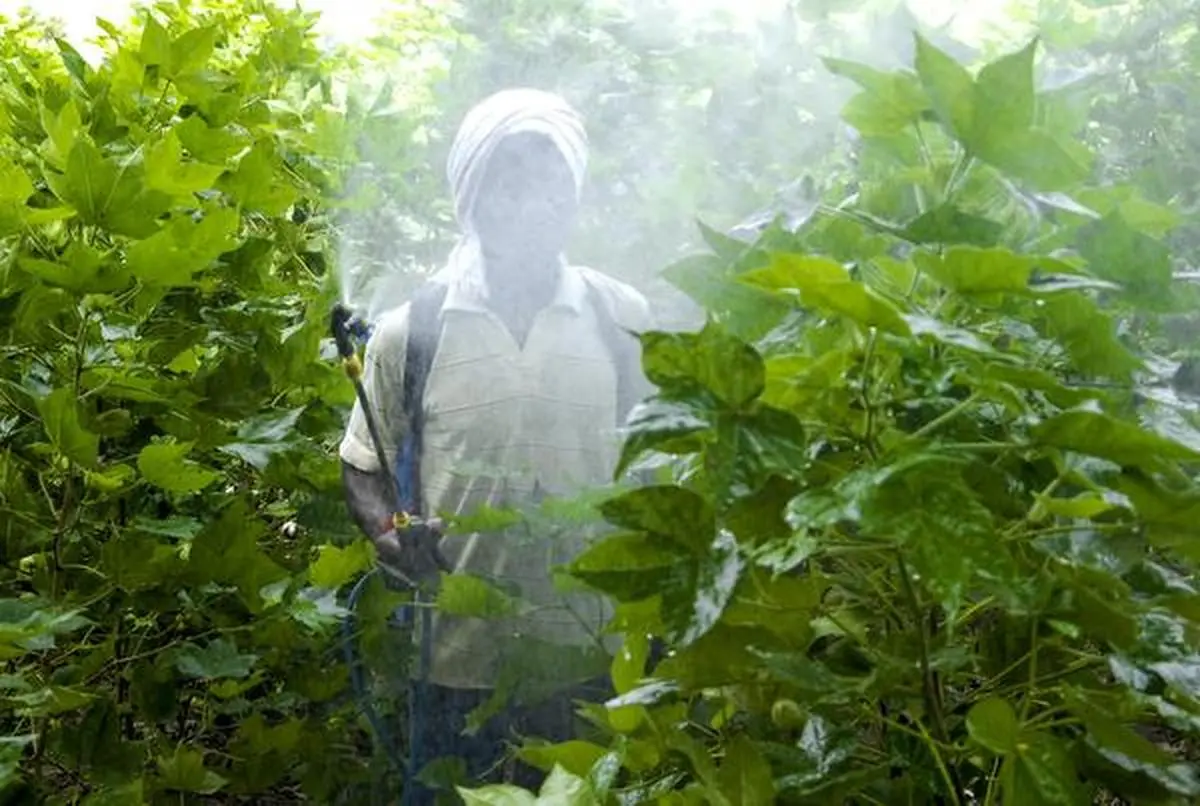 Victims of 2017 pesticide poisoning in Maharashtra file cases in ...