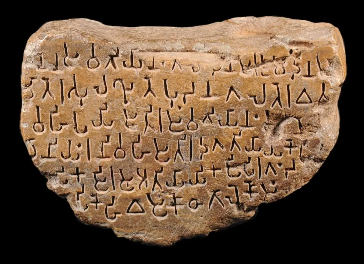 How did the Indian Museum in Kolkata commemorate International Museum ...