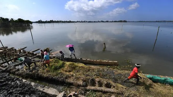 Kuttanad: The next vanishing wetland? - Frontline