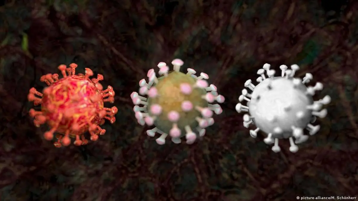 Explained: The difference between endemic, epidemic and pandemic ...