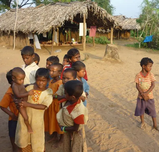 With no place to call home, the Gutti Koya tribe fights for survival ...