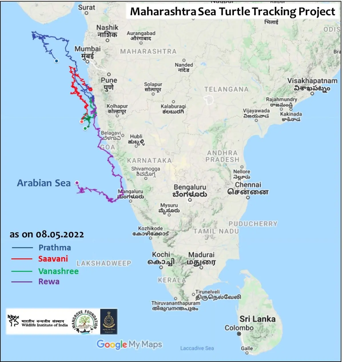 On the turtle’s trail - Frontline