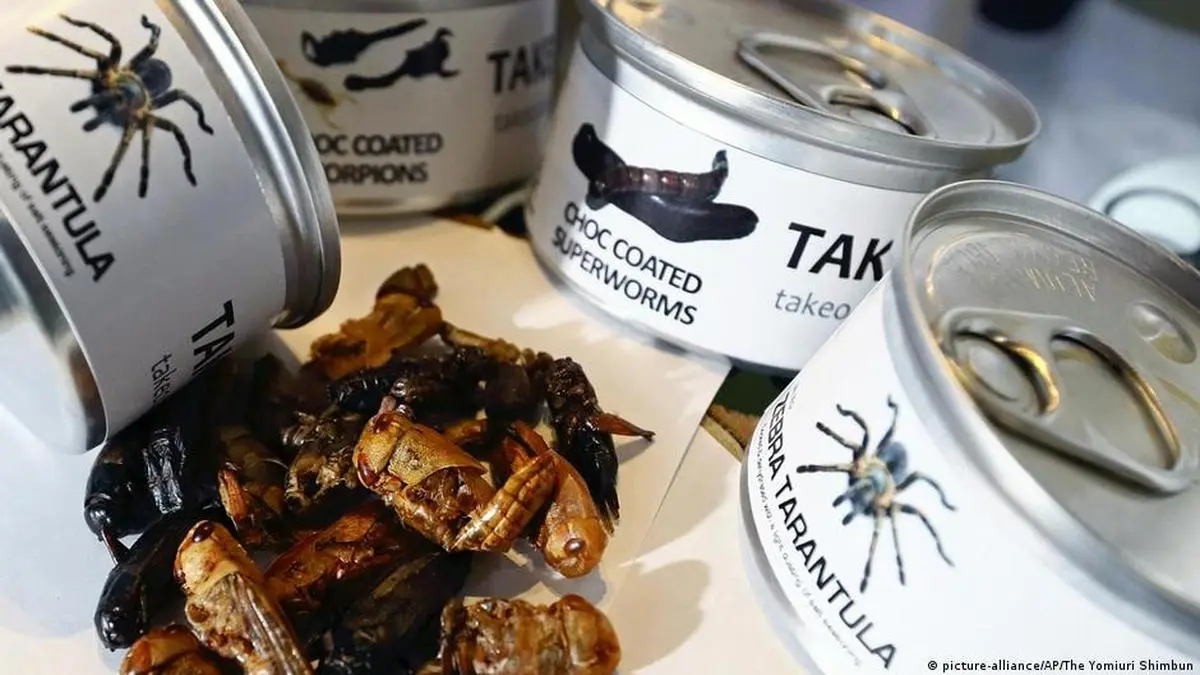 Explained: Why bugs are becoming big business in Japan - Frontline