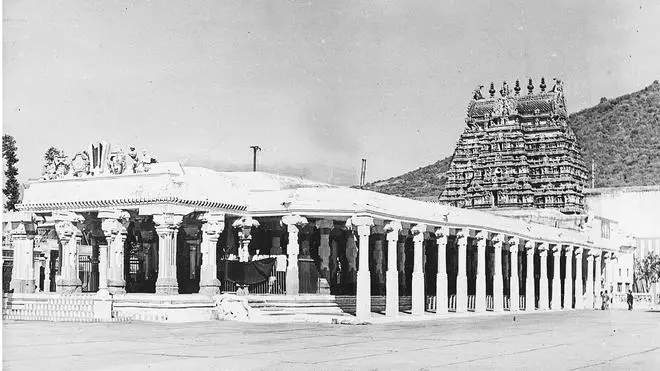 Book Review: ‘The Sweet Salt of Tamil’ by Tho Paramasivan (translated ...