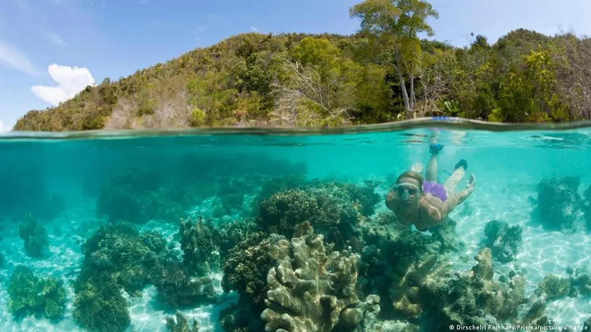 CLIMATE CHANGE | For coral reefs, things are not looking too good - Frontline