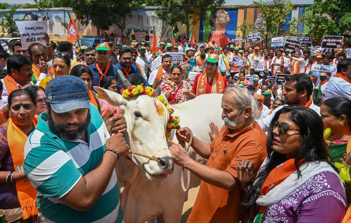 Congress not walking the talk on repealing Karnataka anti-cow slaughter ...