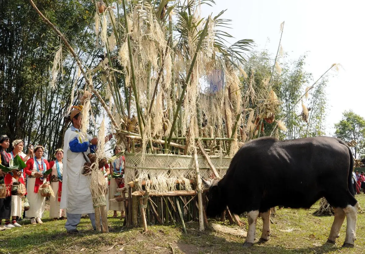 Meat is standard fare for all of Arunachal’s tribal groups - Frontline