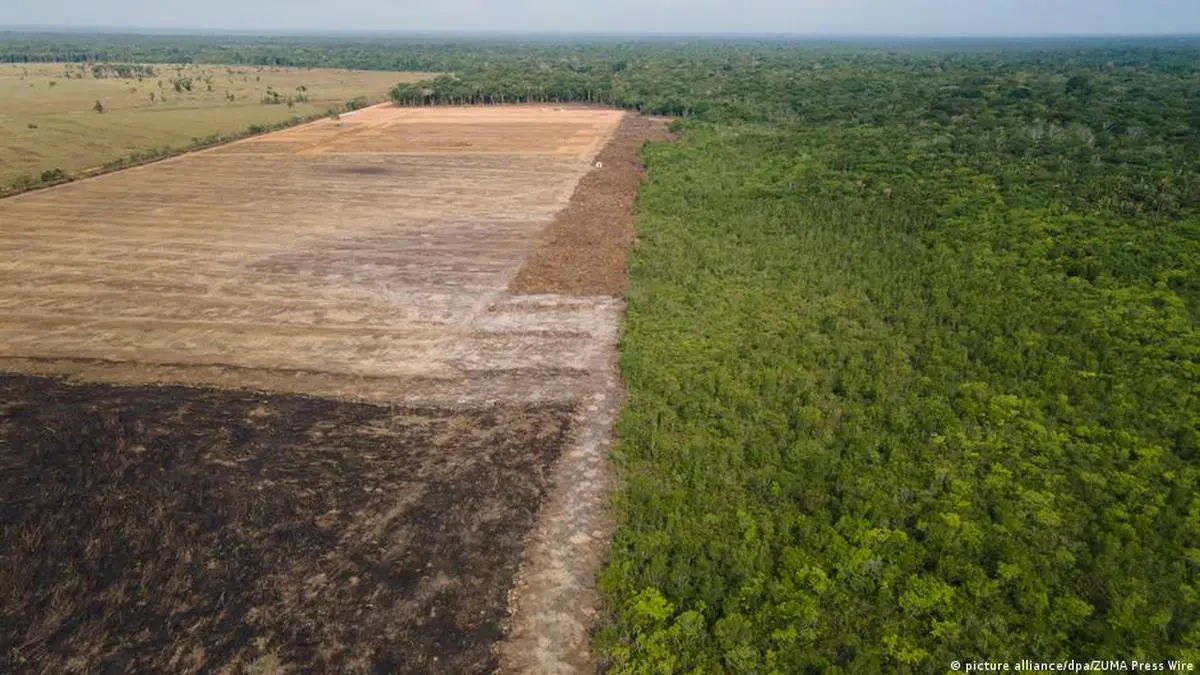 Amazon deforestation hits new high in Brazil - Frontline