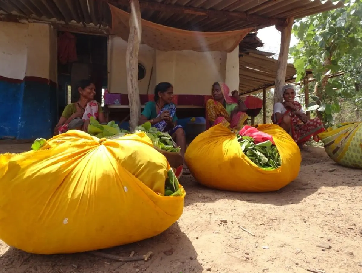 Living the Gond life - Frontline