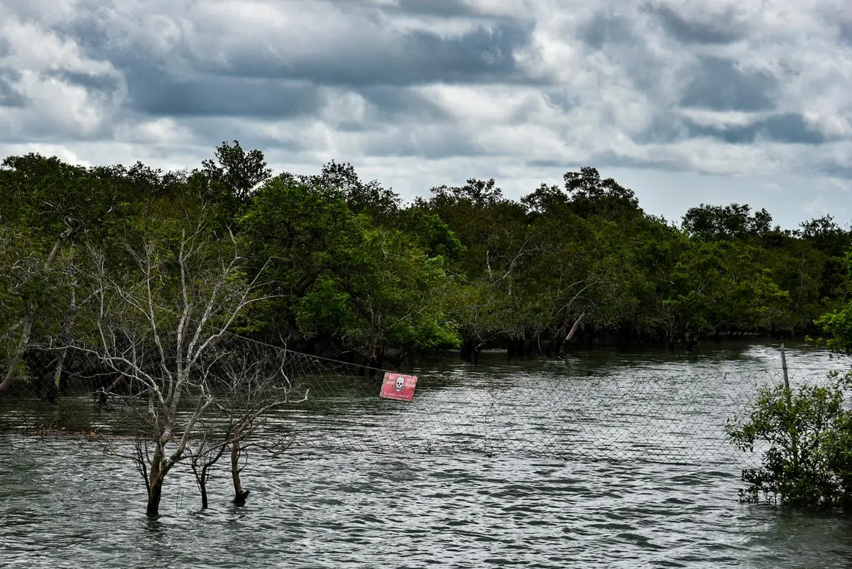 PHOTO ESSAY | Who will mourn the Sundarbans? - Frontline