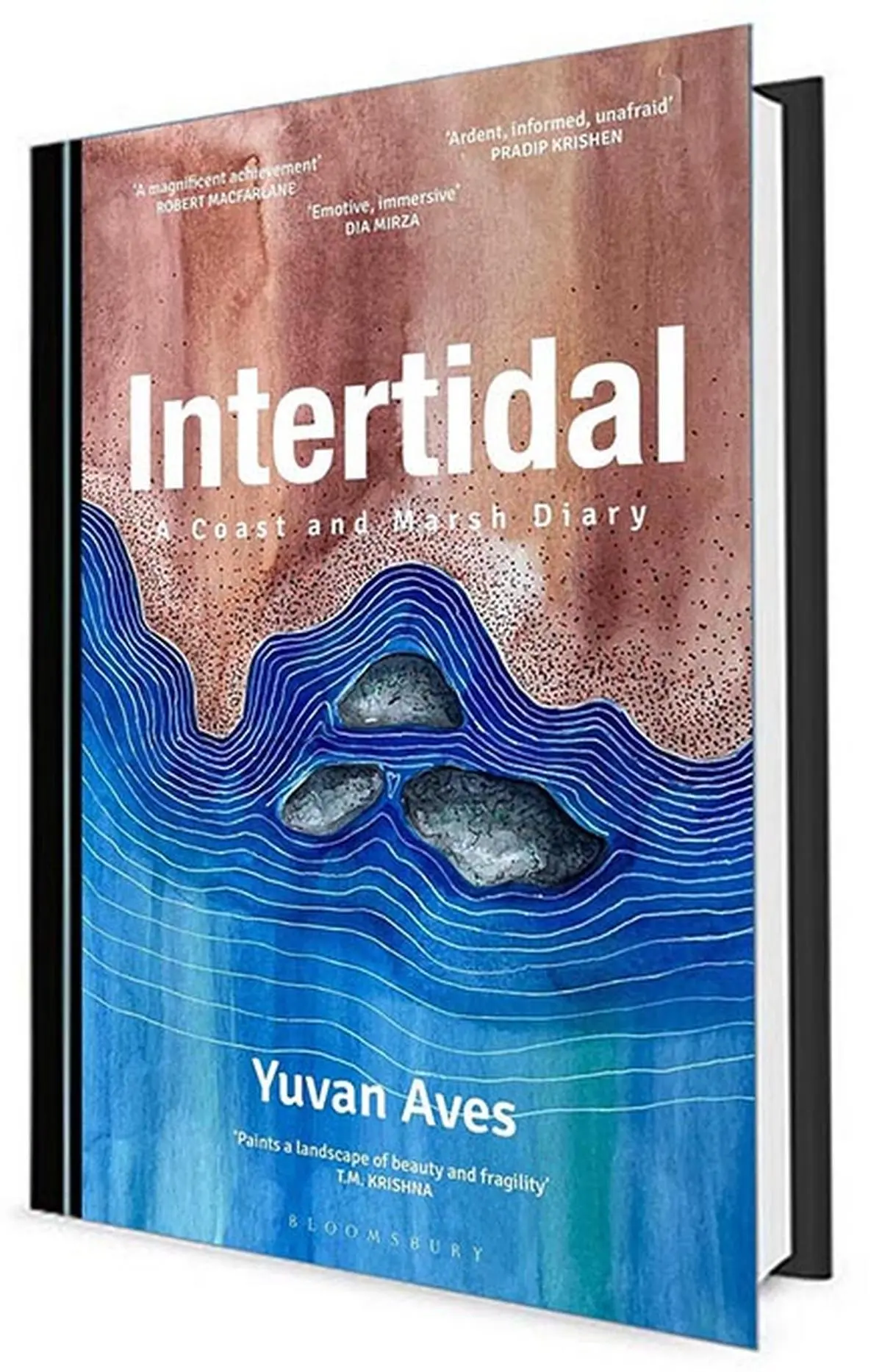 BOOK REVIEW | Review of Intertidal: A Coast and Marsh Diary by Yuvan Aves - Frontline
