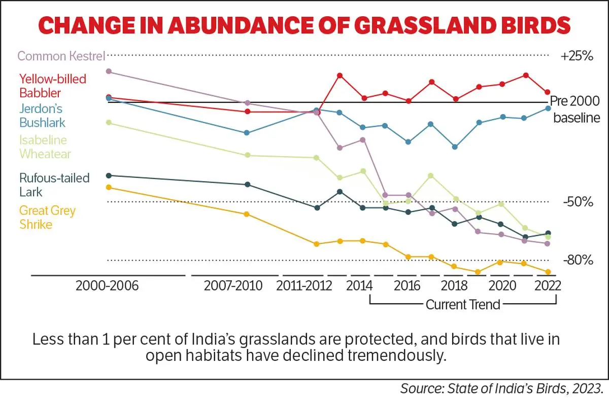 India’s Vulture Crisis: How Biodiversity Loss is Endangering Human ...