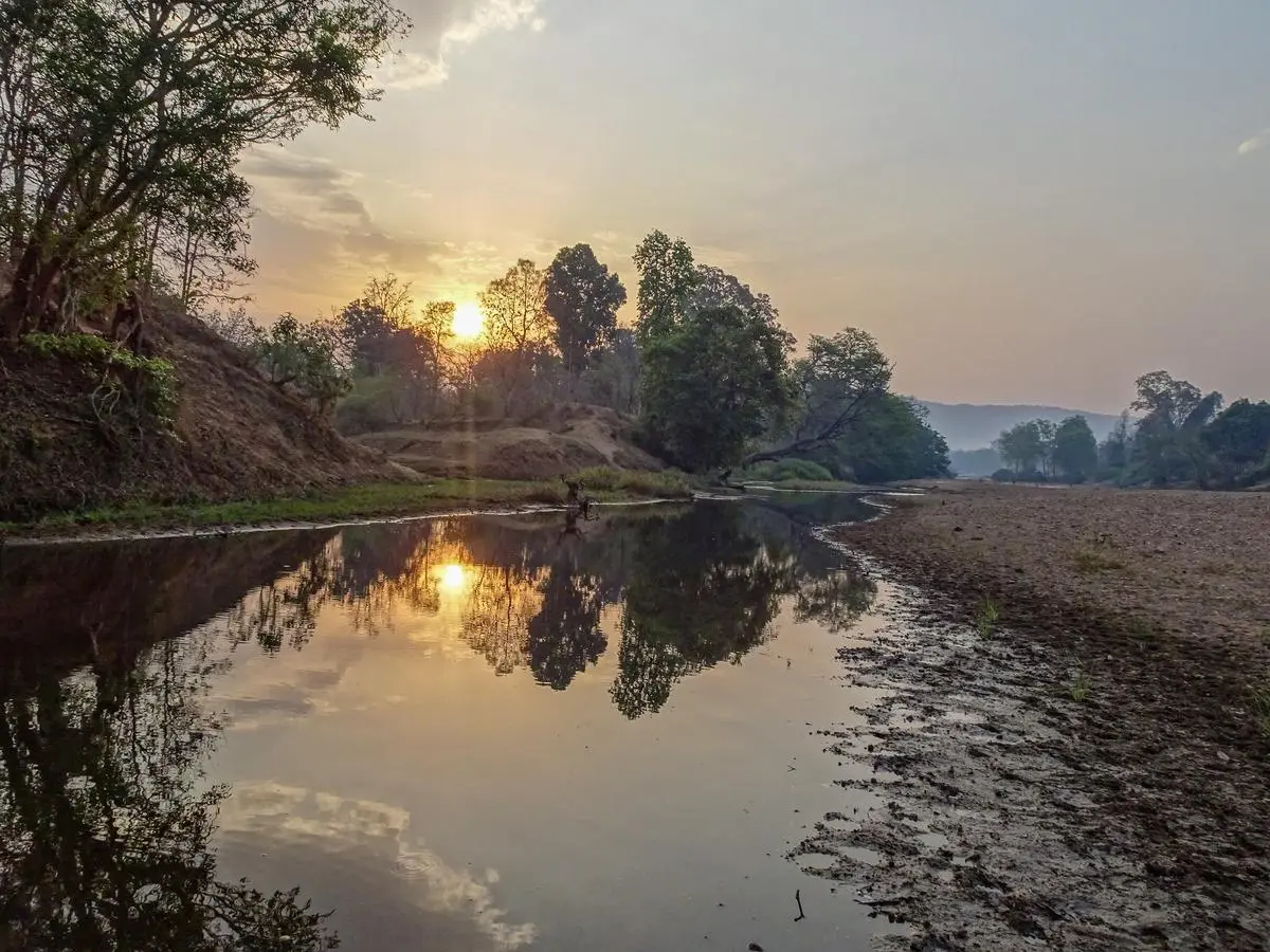 Living the Gond life - Frontline