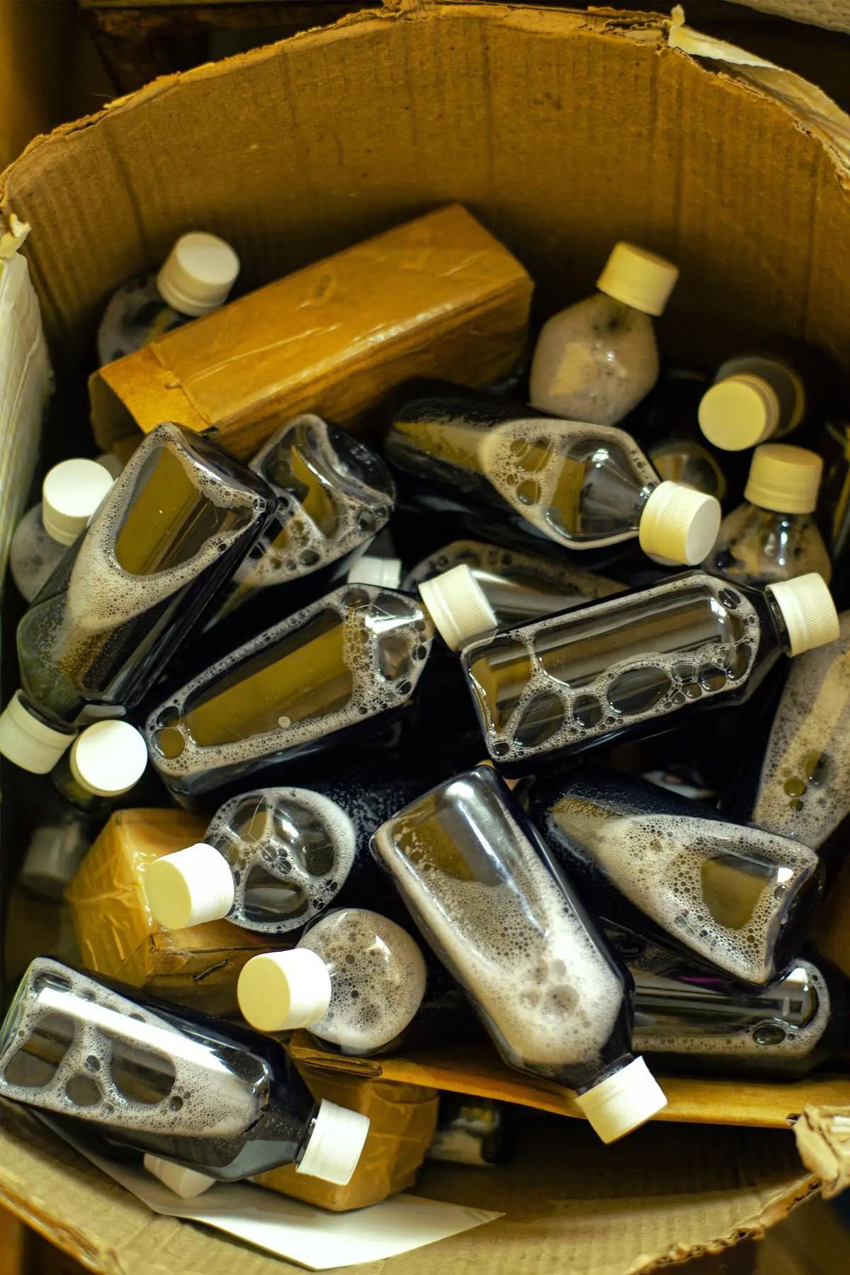 SPOTLIGHT | Hakki Pikki: The global nomads of Karnataka - Frontline