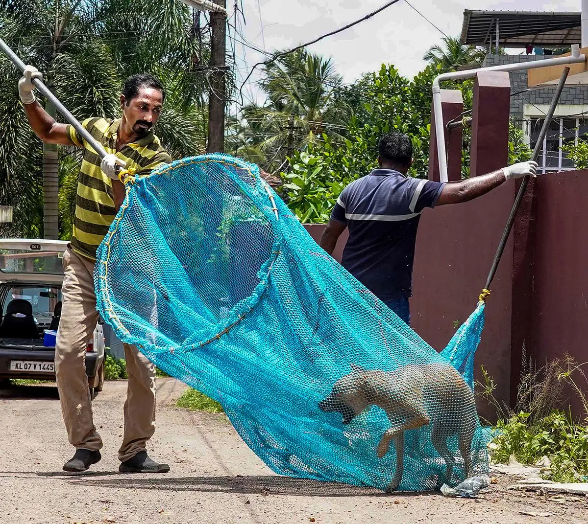 Readers write - Frontline