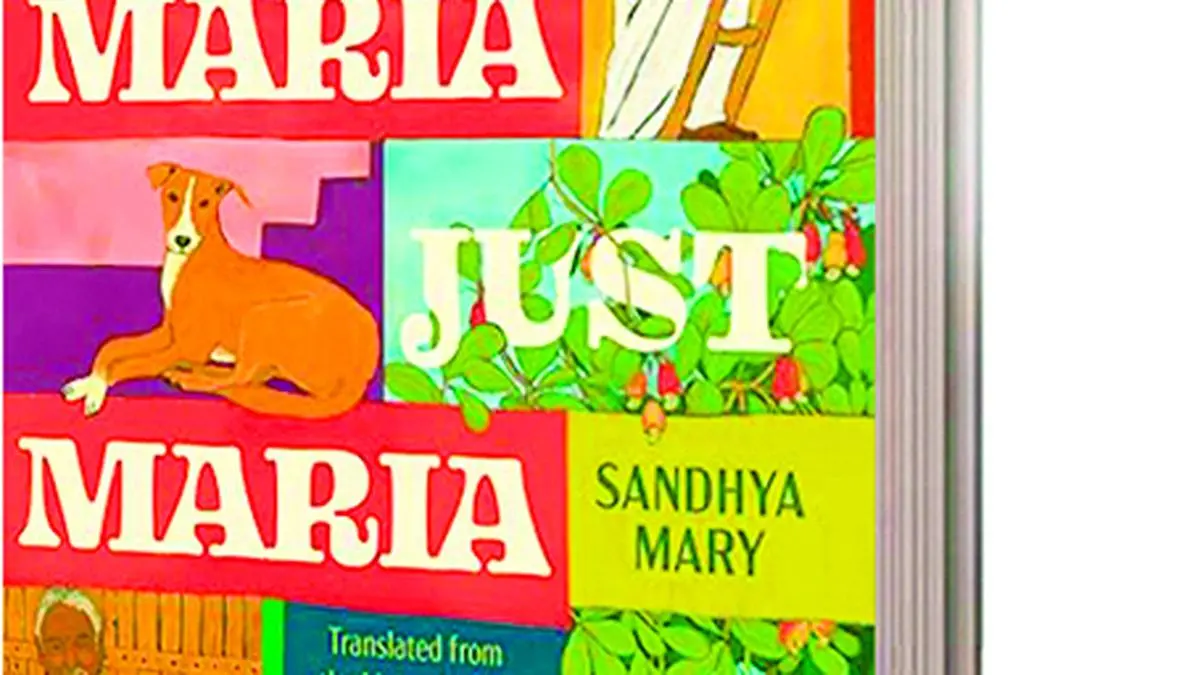 BOOKSHELF | New books on the shelves - Frontline