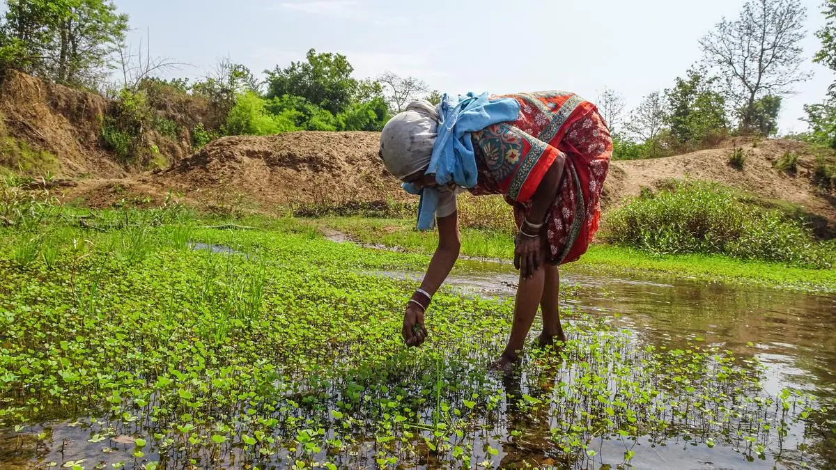 PHOTO ESSAY | Living the Gond life - Frontline