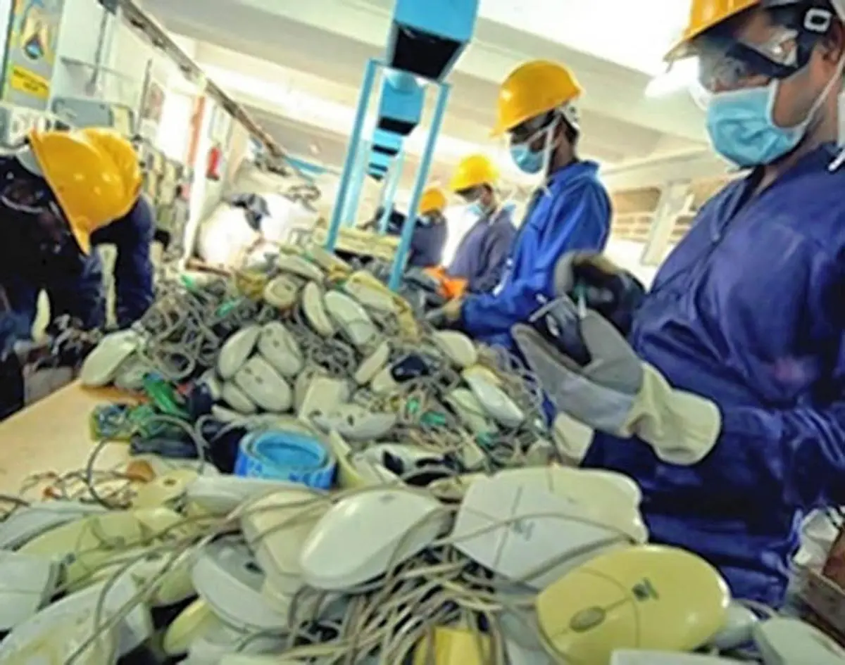 India at 75 | Timeline: Environment - Frontline