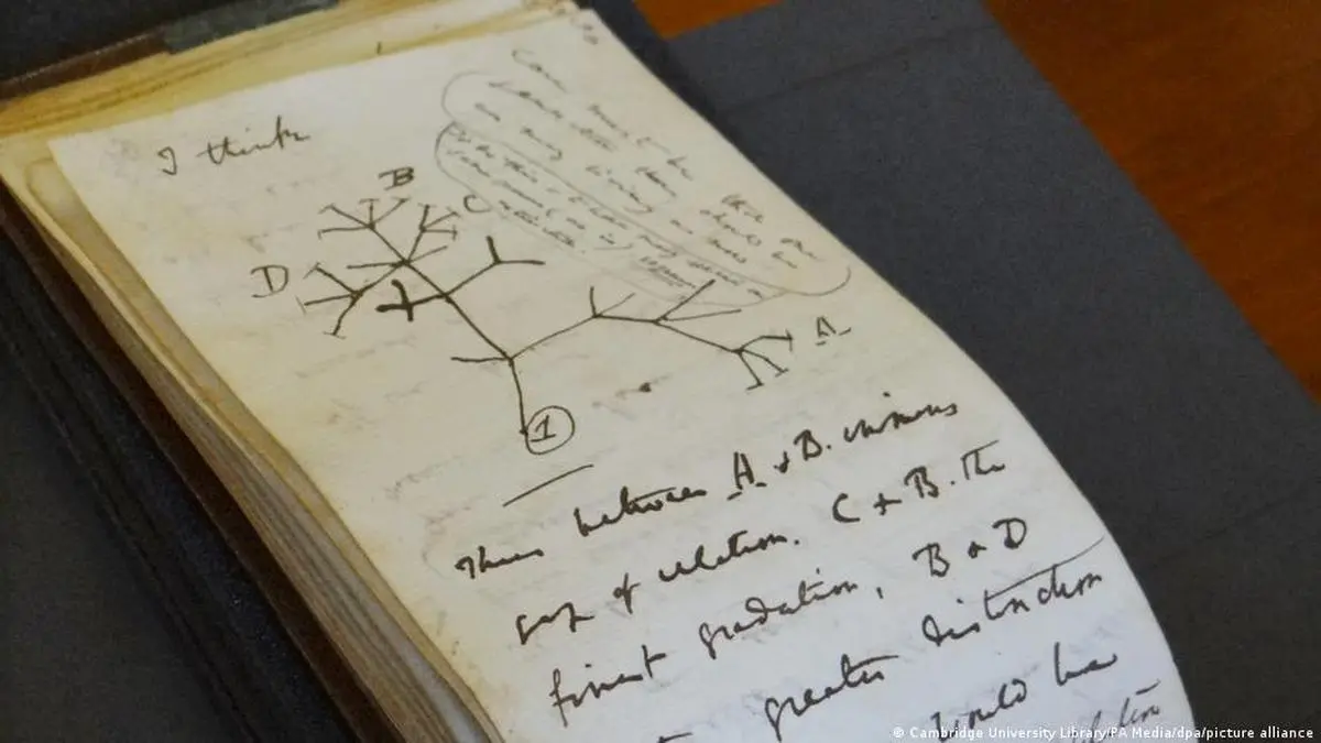 Charles Darwin's lost notebooks mysteriously returned - Frontline
