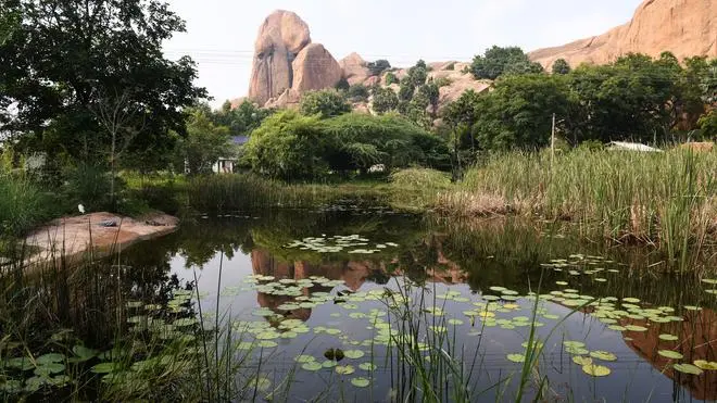 Why Tamil Nadu’s first biodiversity heritage site Arittapatti needs ...