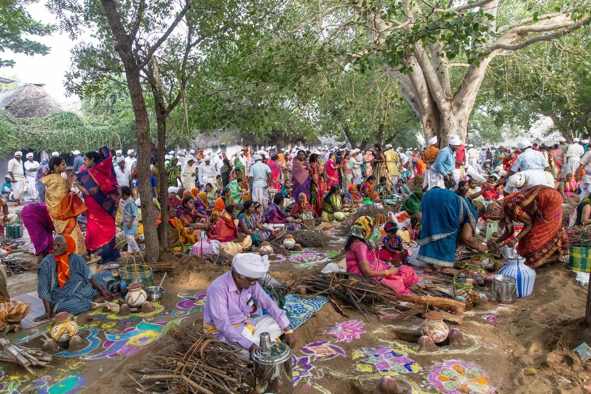 A Pongal unlike any other: Celebrating unity beyond caste and creed in ...