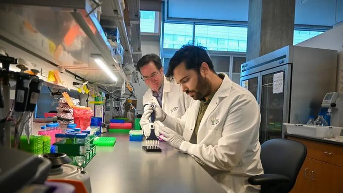 SCIENCE NOTEBOOK | Nanosensor Cracks Cancer Code, Neutrino Defies ...