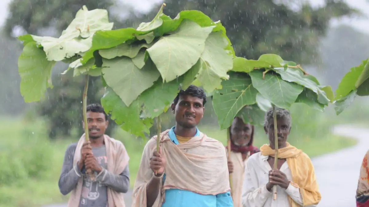 How Madhya Pradesh’s Korku tribe sees its symbiotic relationship with ...