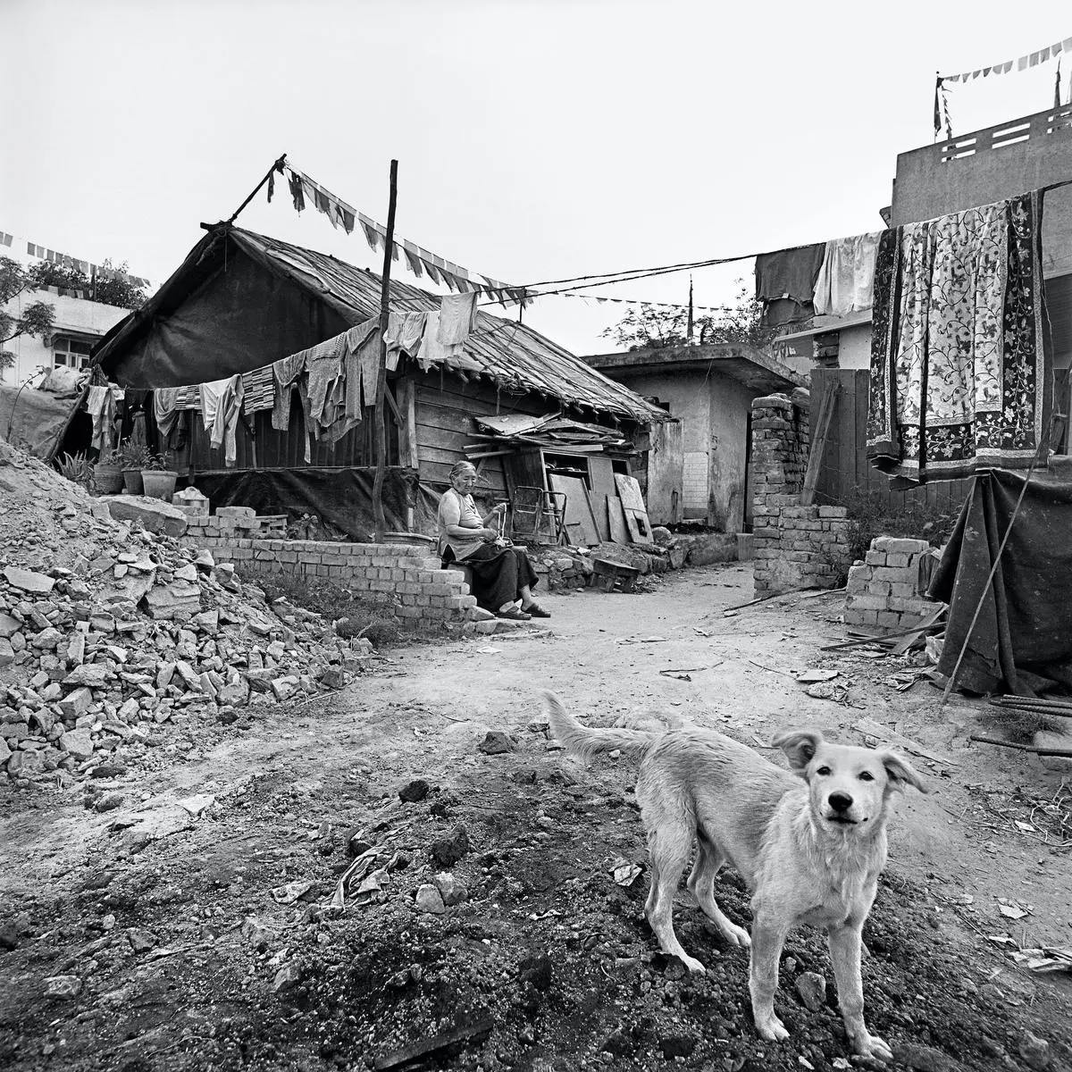 Tibetan diaries: Vignettes from Majnu ka Tilla - Frontline