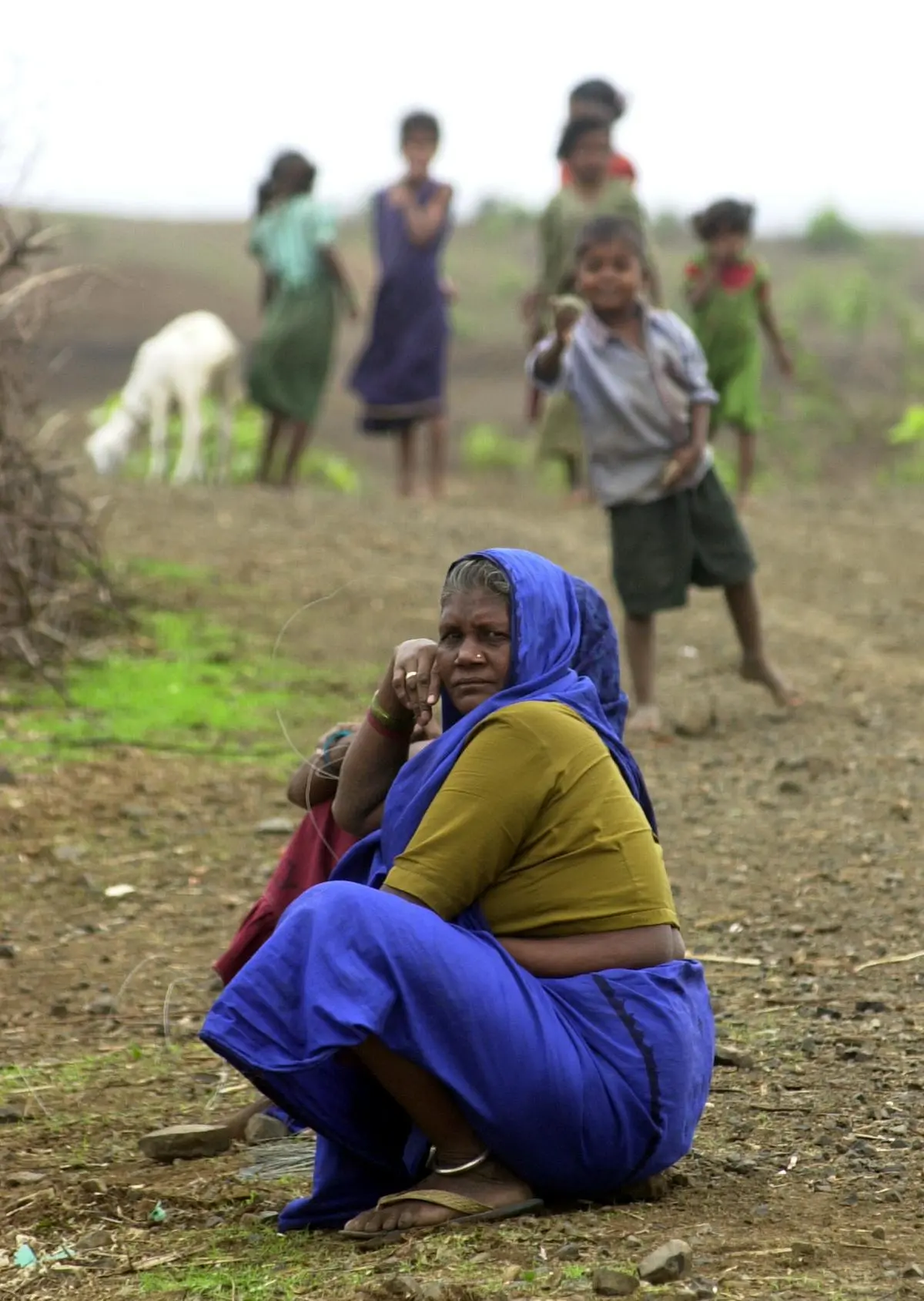 How Madhya Pradesh’s Korku tribe sees its symbiotic relationship with ...