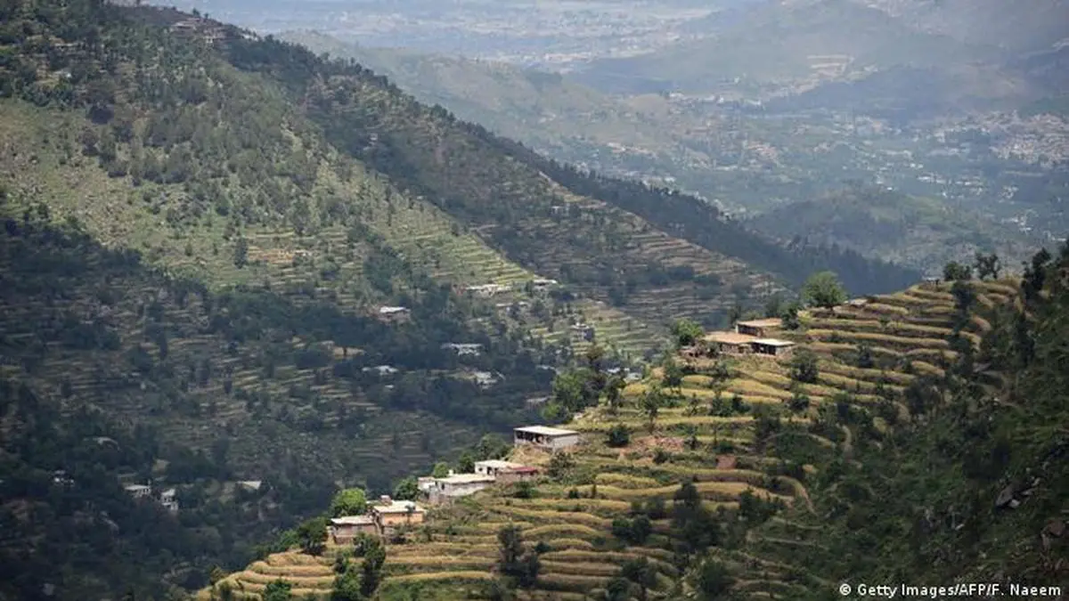 Pakistan: Environmentalists slam '10 billion trees' project - Frontline