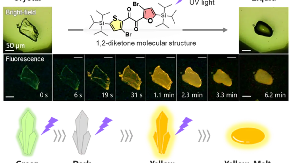 SCIENCE NOTEBOOK | Crystal that melts under UV light - Frontline