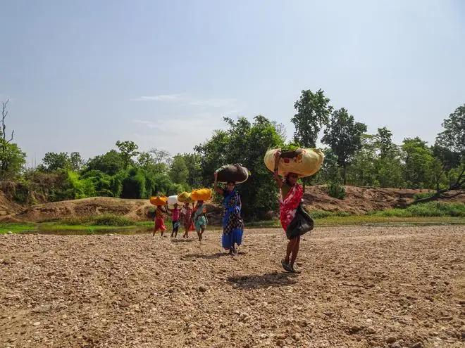 Living the Gond life - Frontline
