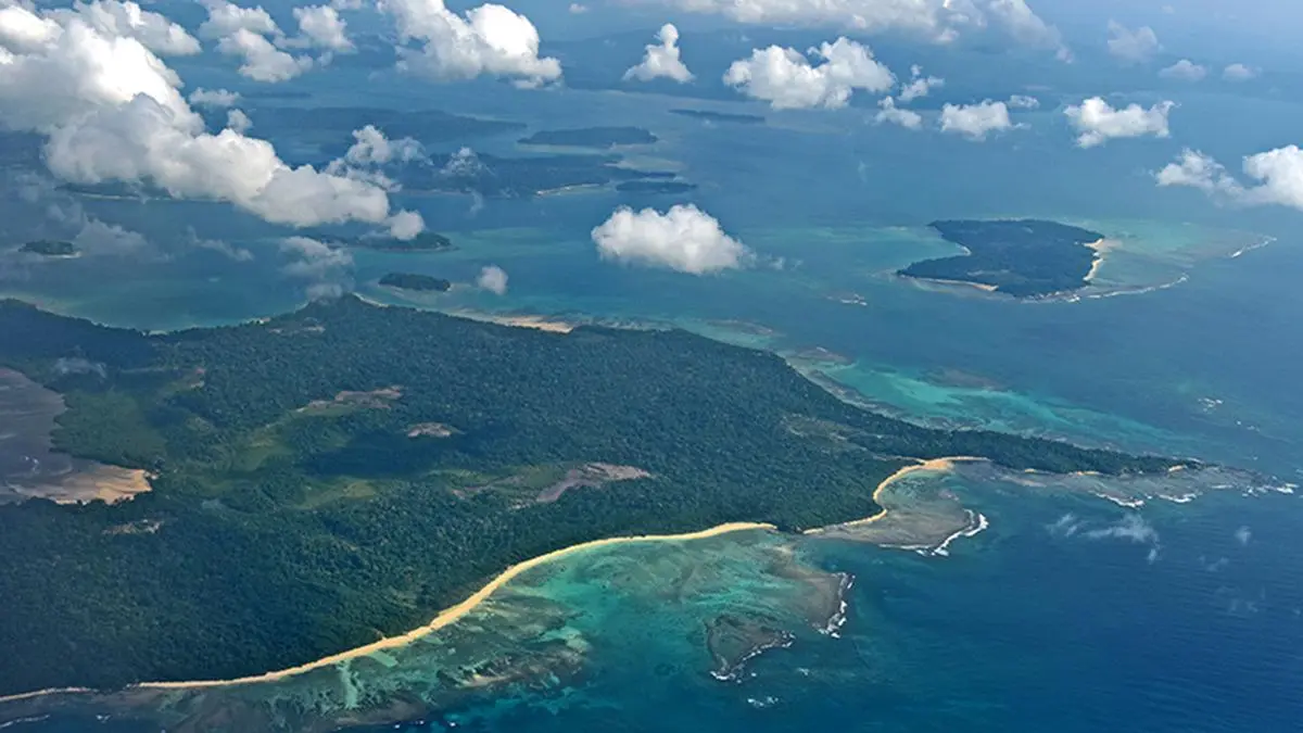 Endangered Wildlife of the Nicobar Islands: 10 Species at Risk from the ...