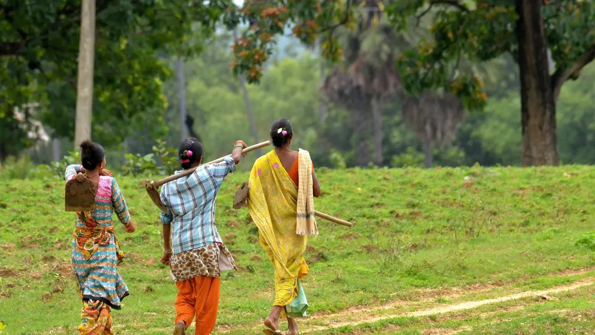 2006: Forest Rights Act - Frontline