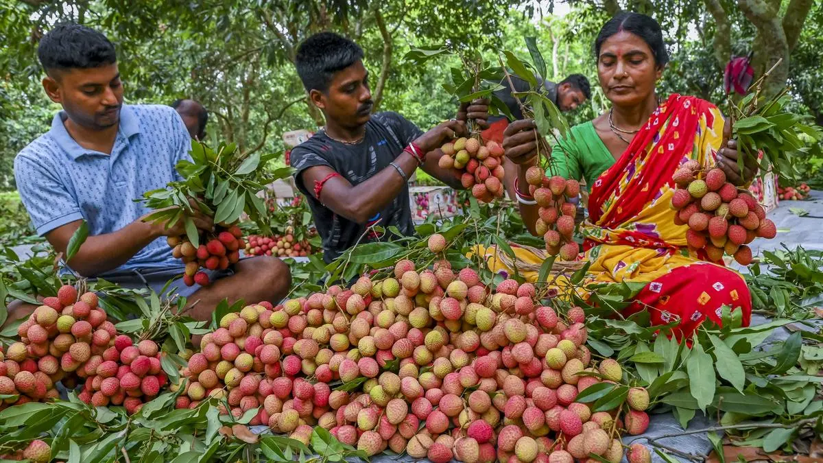 Rural Haats to GrAMs: 2025 Audit Reveals Budget Gap - Frontline