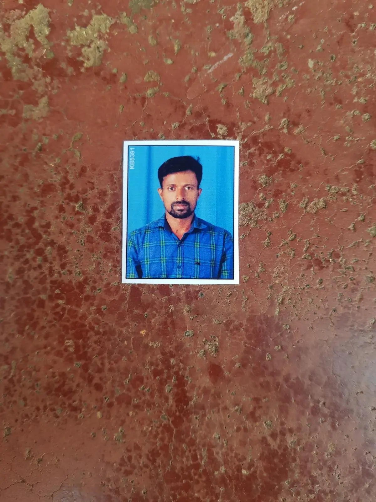 Karnataka: Hills of Hassan district plagued by perennial human-animal ...