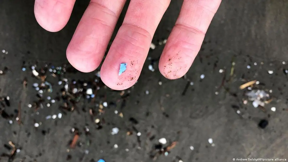 Microplastics are almost everywhere. What does this mean for our health ...