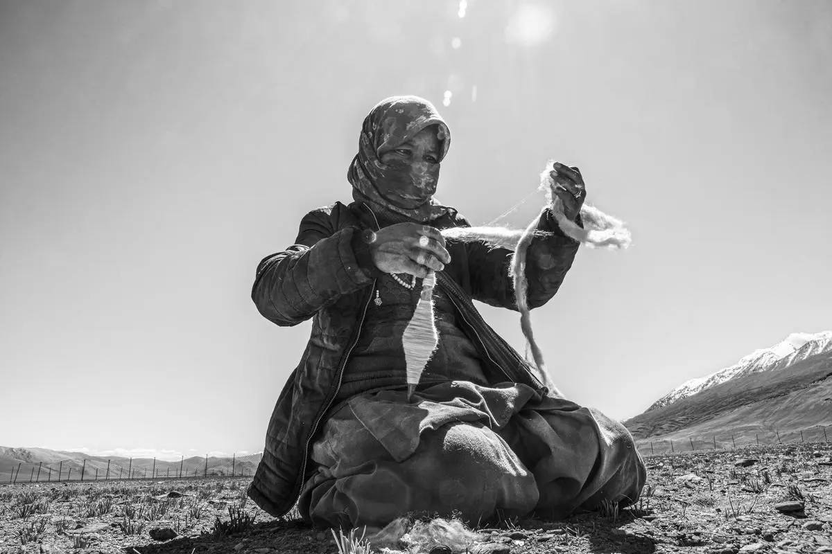 Changpas in Ladakh see life disrupted by climate change - Frontline