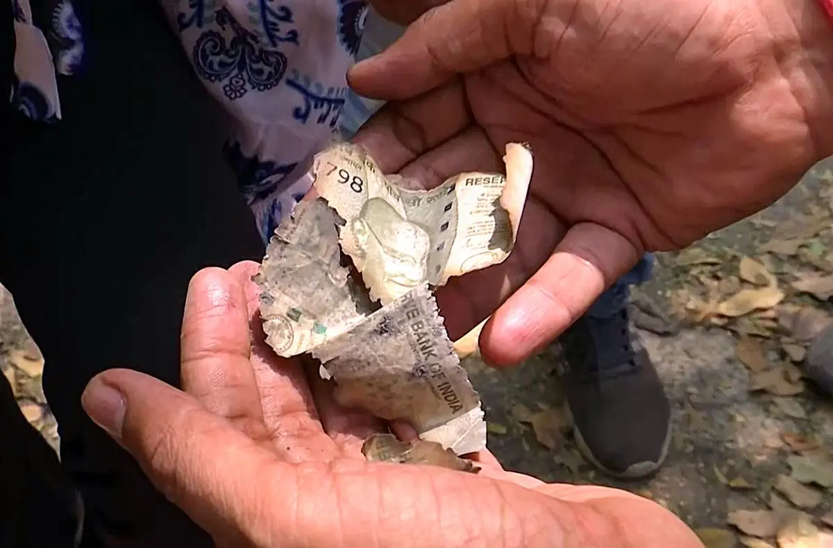 Justice Varma and the Burnt Cash Scandal Puts Judicial Integrity in ...