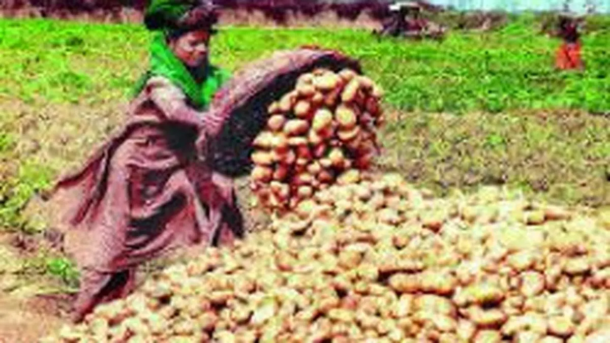 A surplus of problems - Frontline