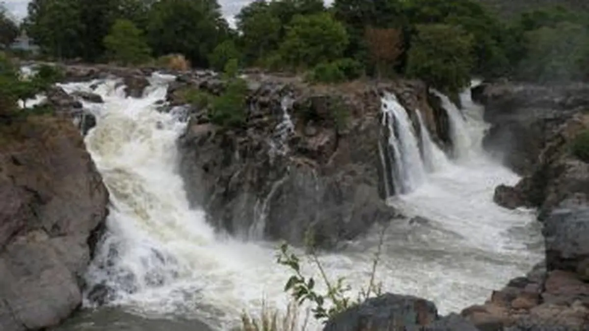 Cry in the wilderness - Frontline