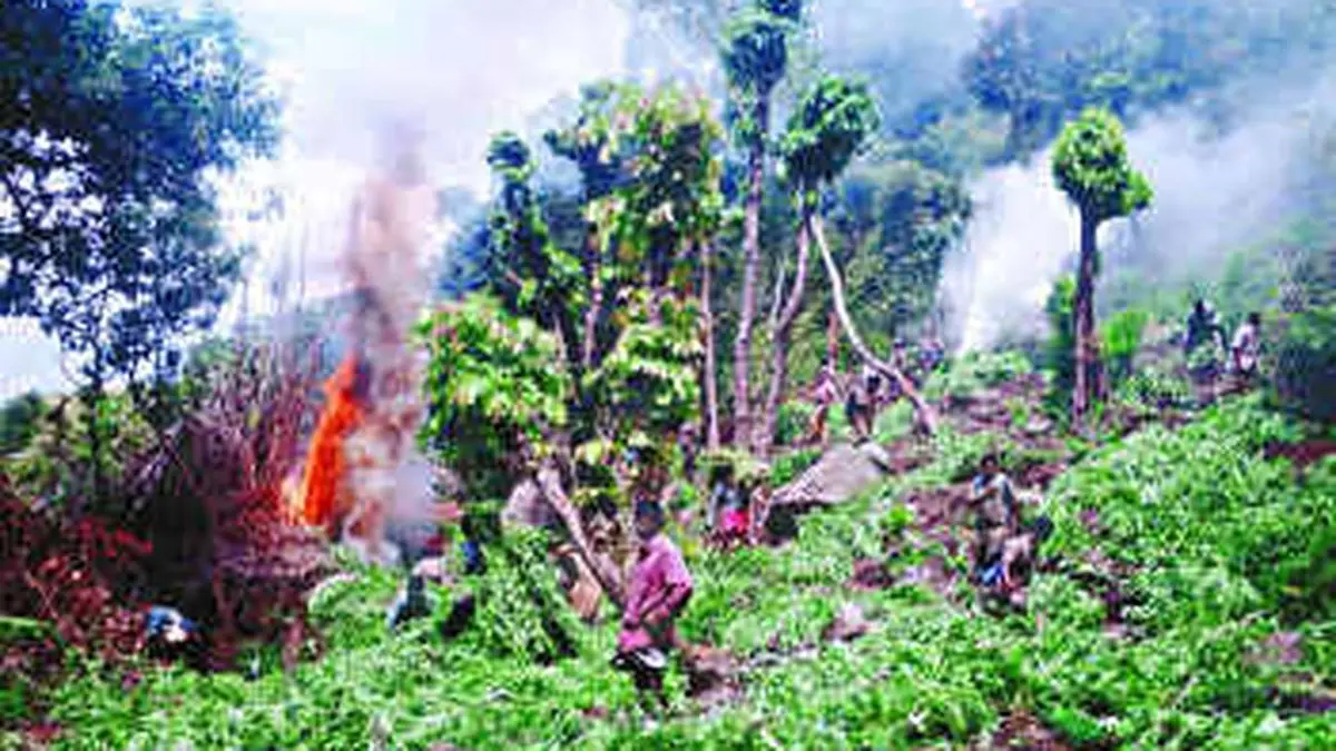 Dealing with drug abuse - Frontline