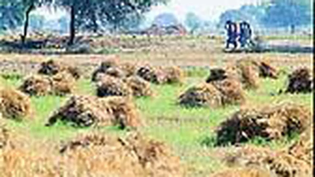 The farming crisis - Frontline